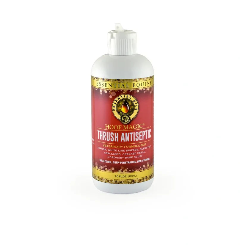 Essential Equine HOOF MAGIC Thrush Antiseptic 16 oz. #300101116 – Off ...