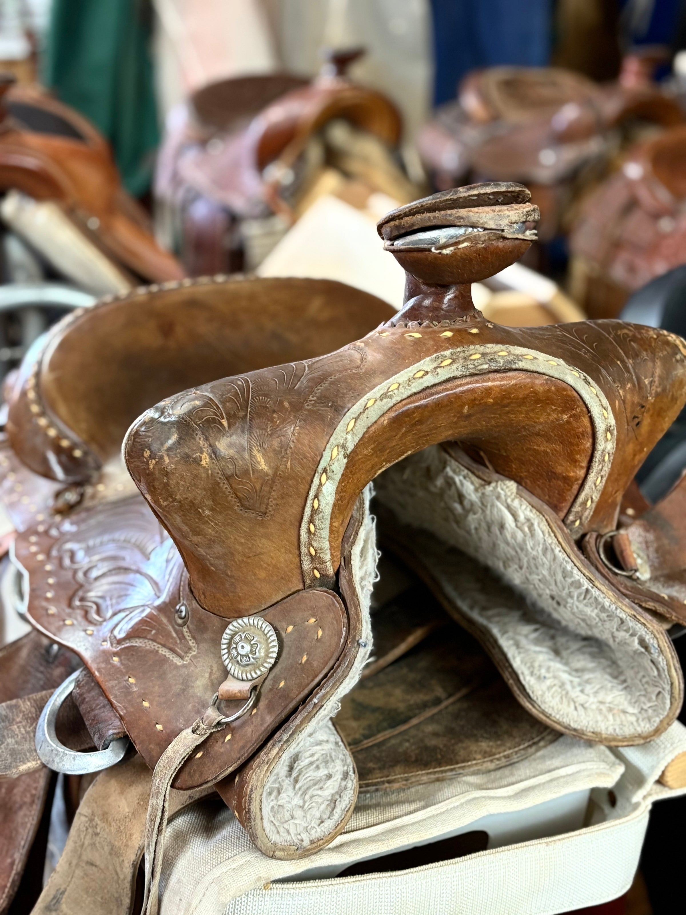 Western Saddle - 15 inches – Off The Beaten Path Saddlery