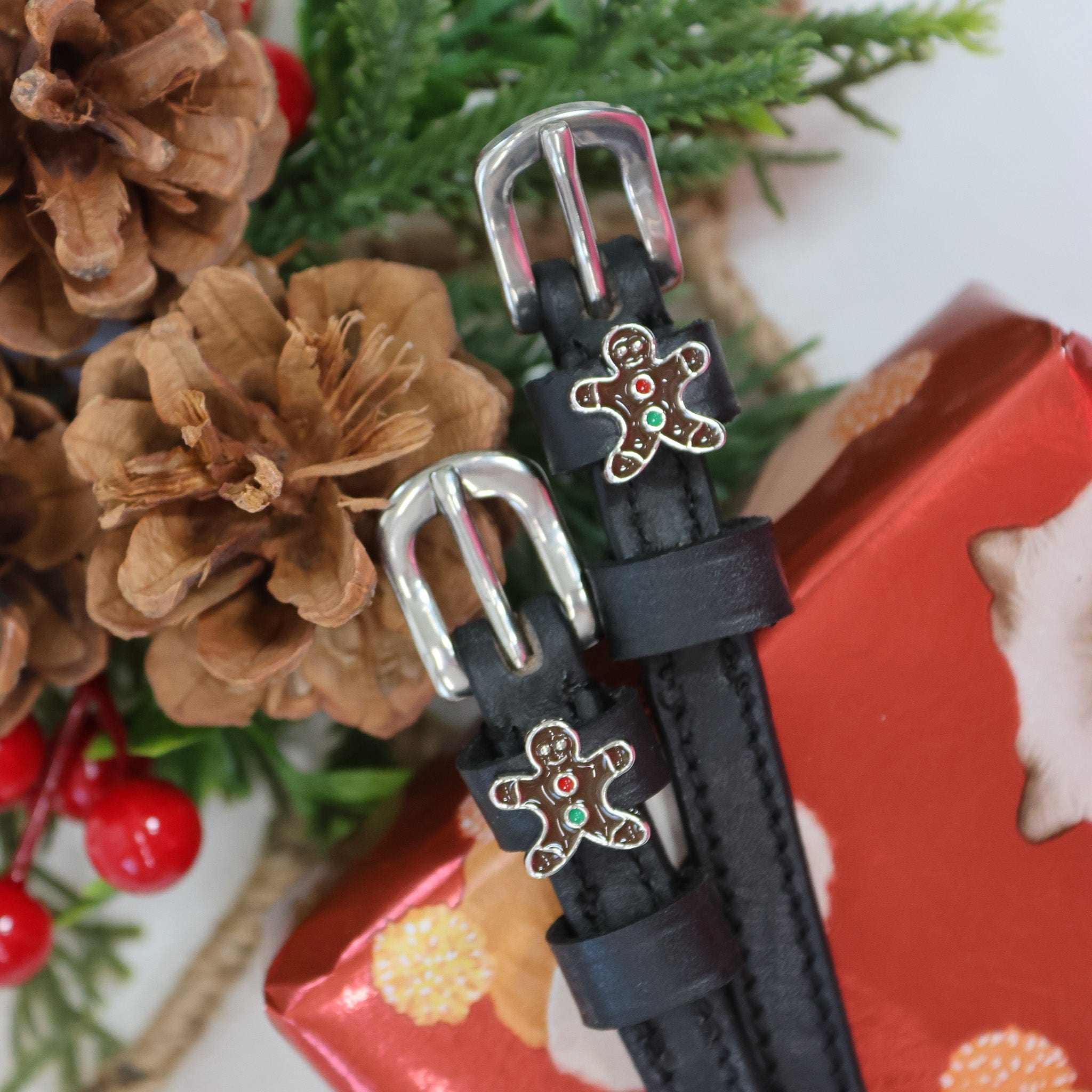 Dreamers & Schemers Spur Straps – Off The Beaten Path Saddlery